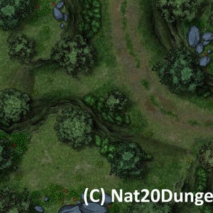 Forest Road Encounter, Dnd Battle Map, D&D, Battlemap, Dungeons and Dragons, 5e, Roll20, Fantasy ...