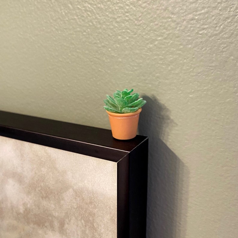 Cactus Hinge Head: Potted Plant Magnetic Door Decor - Etsy