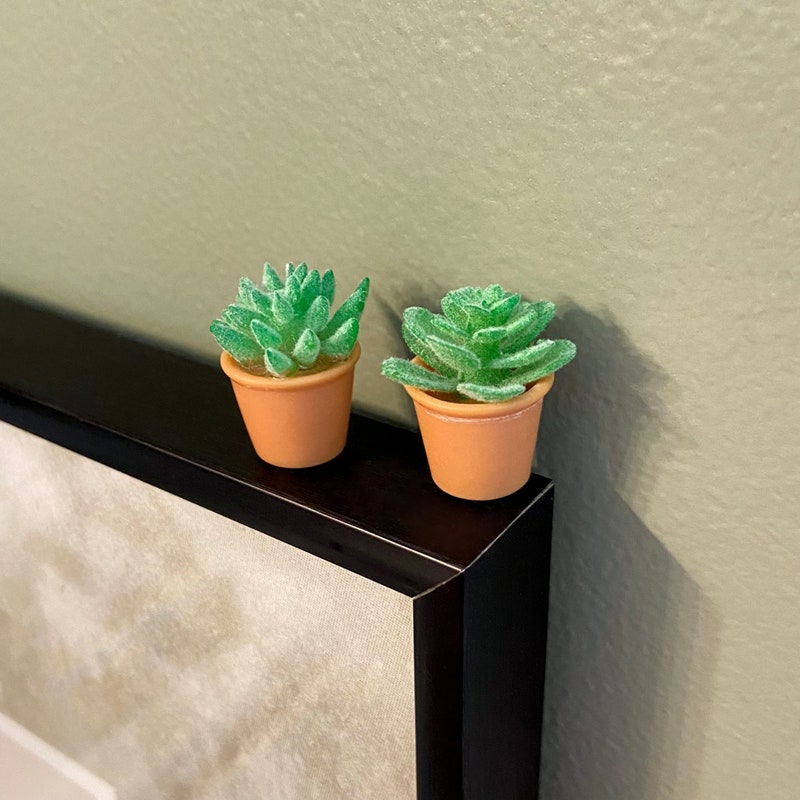 Door Topper Plants - Etsy