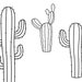 Cactus SVG Cactus PNG Cactus SVG Bundles Cactus Flower - Etsy Canada