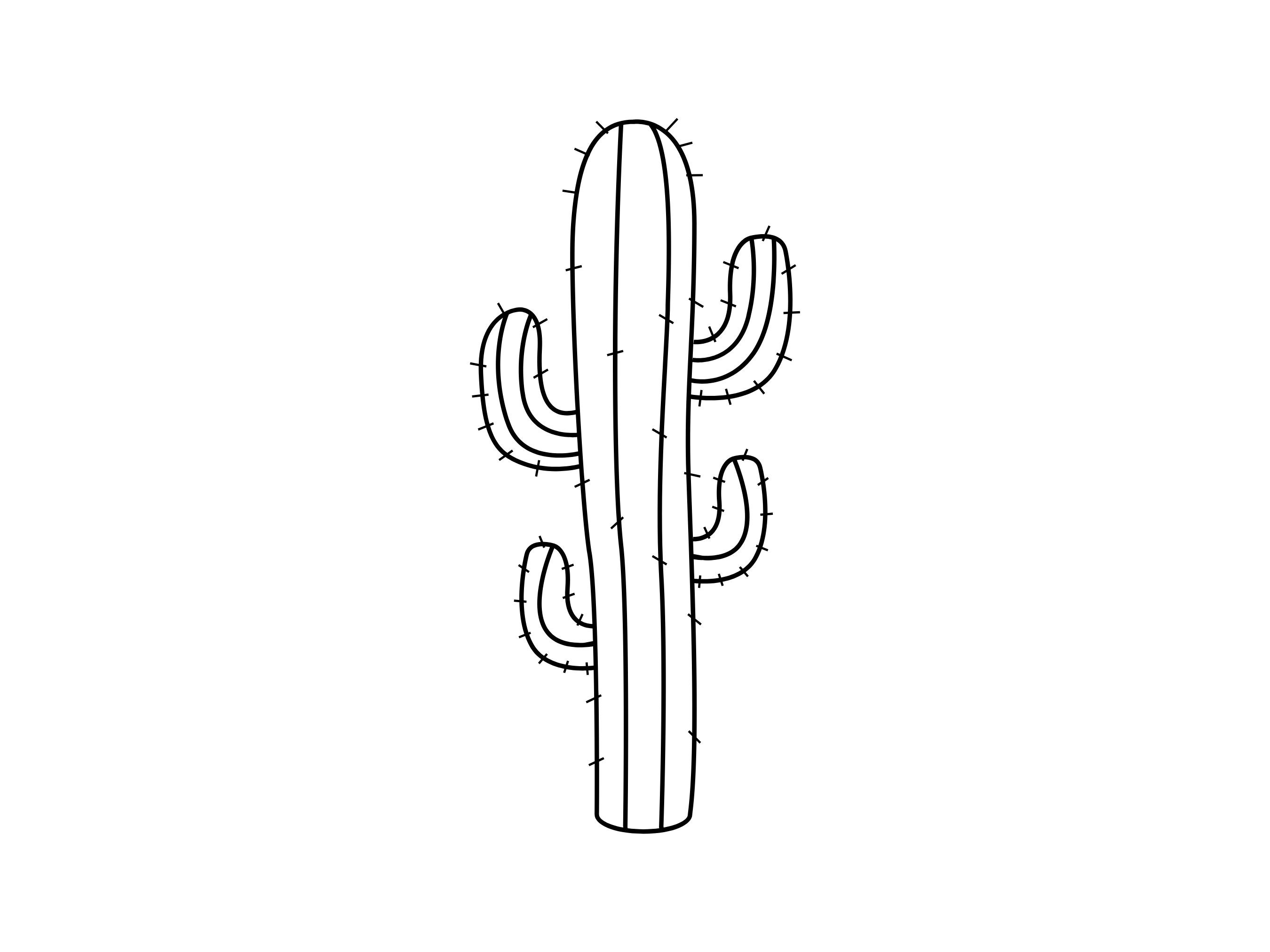 Cactus SVG Cactus PNG Cactus SVG Bundles Cactus Flower - Etsy Canada
