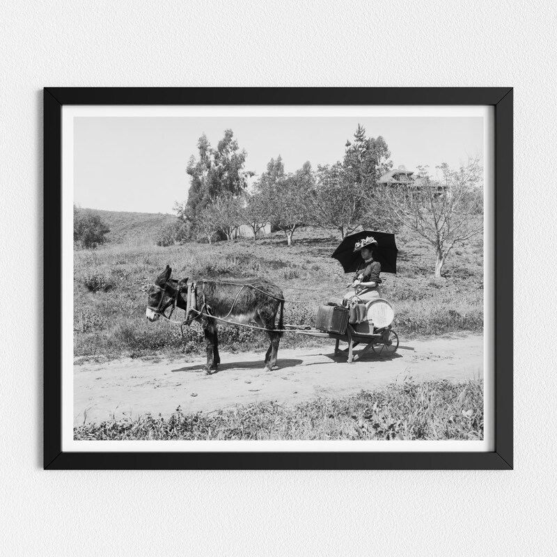 Donkey and Cart - Etsy