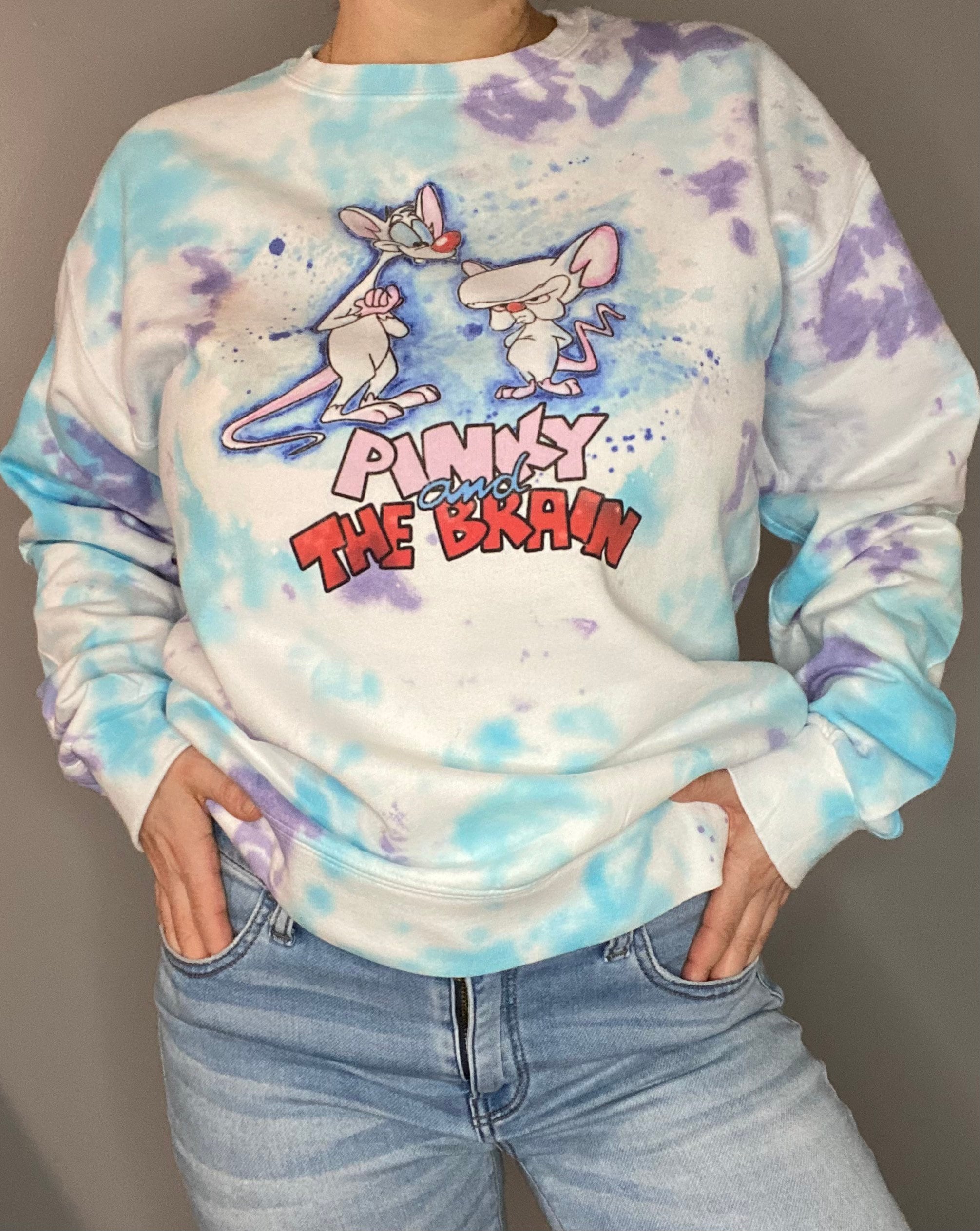 Pinky and the Brain Sweatshirt | the 90s Crewneck Sweater | the 90s ...