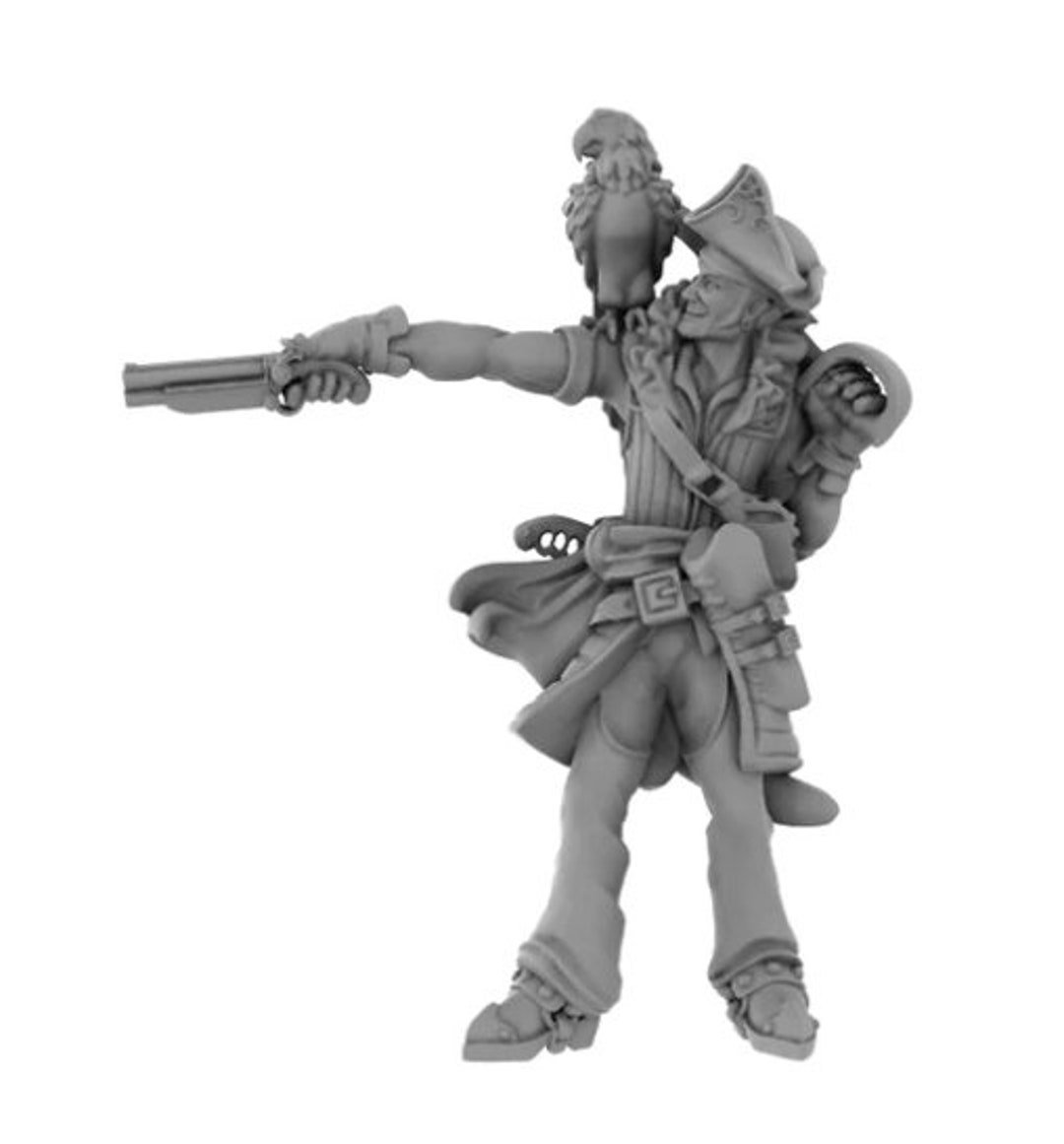Pirate Male Pistol Parrot_3d Printed Miniatures Artisans 30.22mm X 19 ...