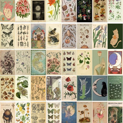 50 Printed 4x6 Vintage Cottagecore Aesthetic Wall Collage Kit Etsy