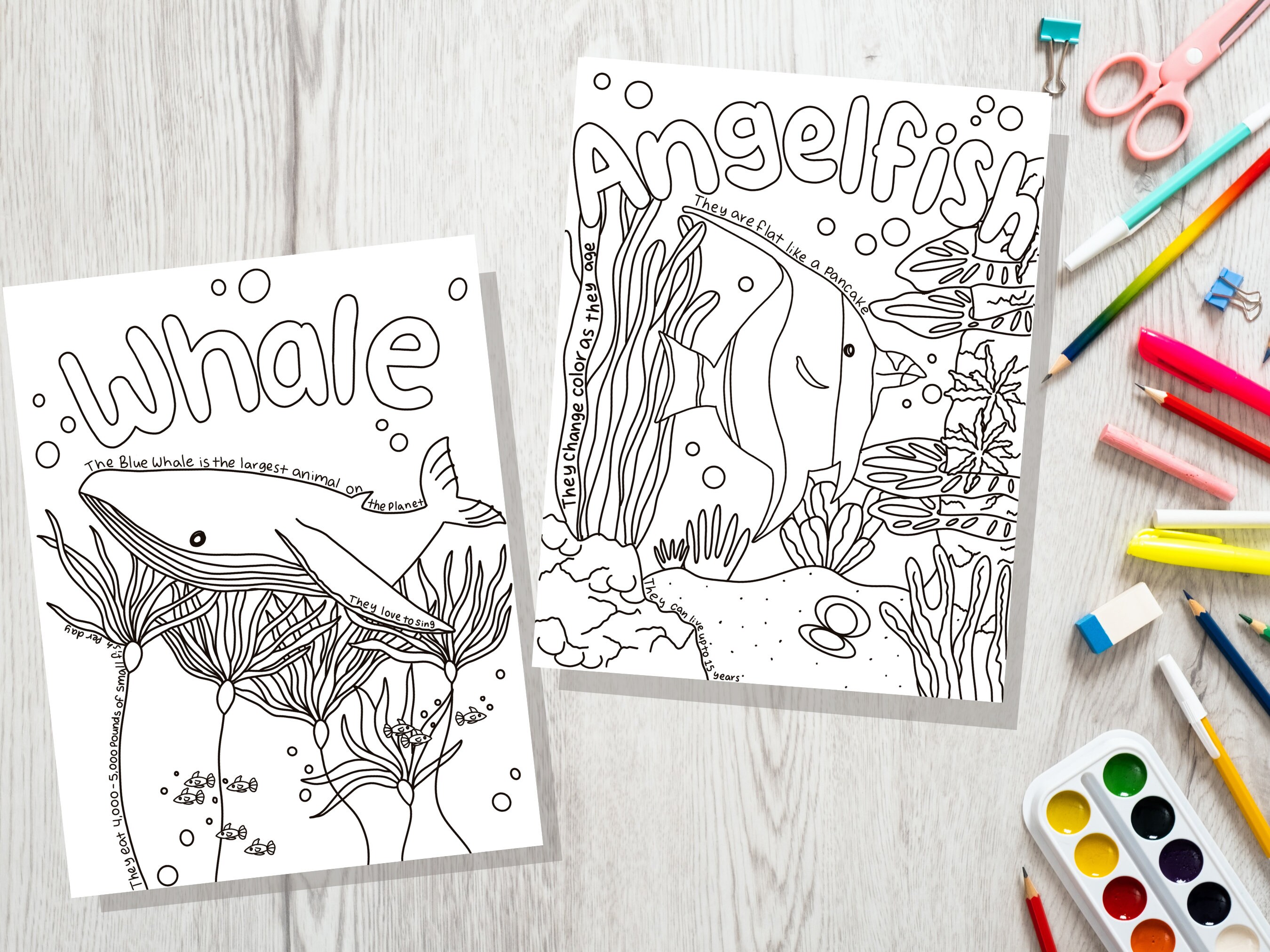 Ocean Whales and Fish Kids Coloring Pack | 11 Coloring Pages | Digital ...