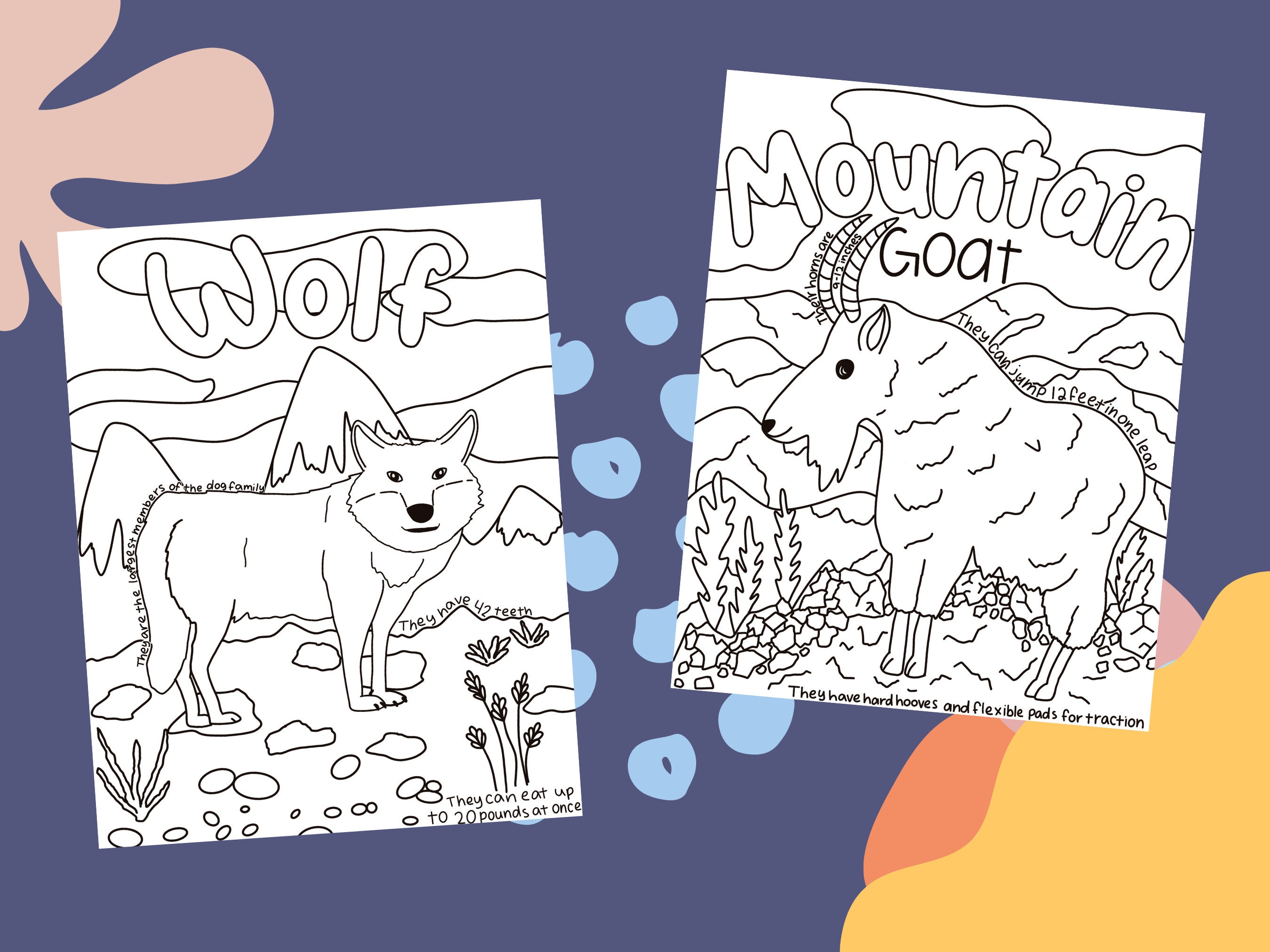 Mountain Animals Kids Coloring Pack | 11 Coloring Pages | Digital ...
