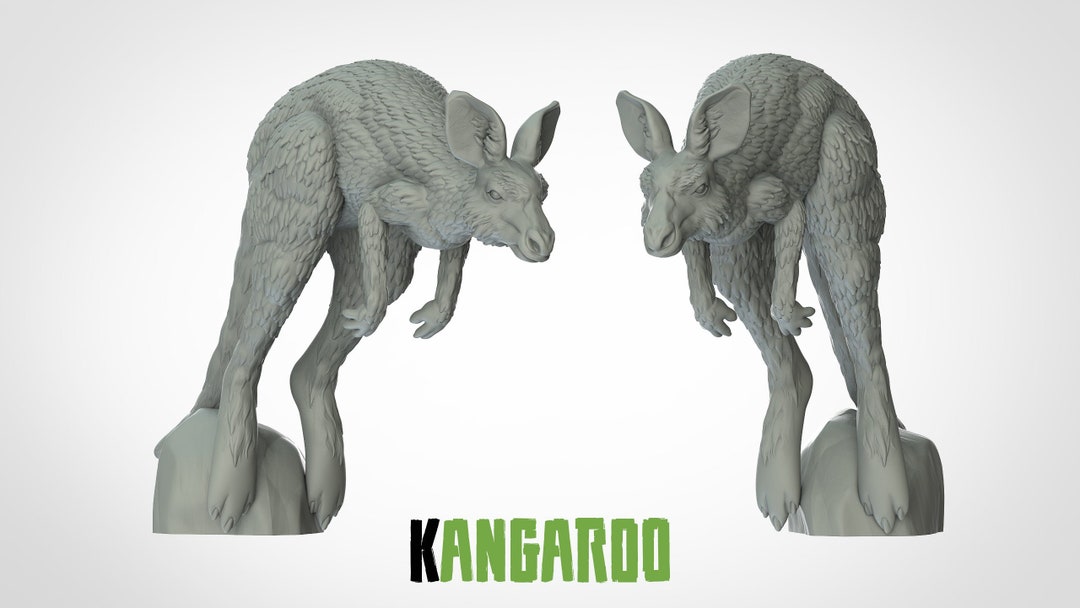 Kangaroo | D&D | Dnd | Dungeons and Dragons | Wargaming | 3D Printed ...