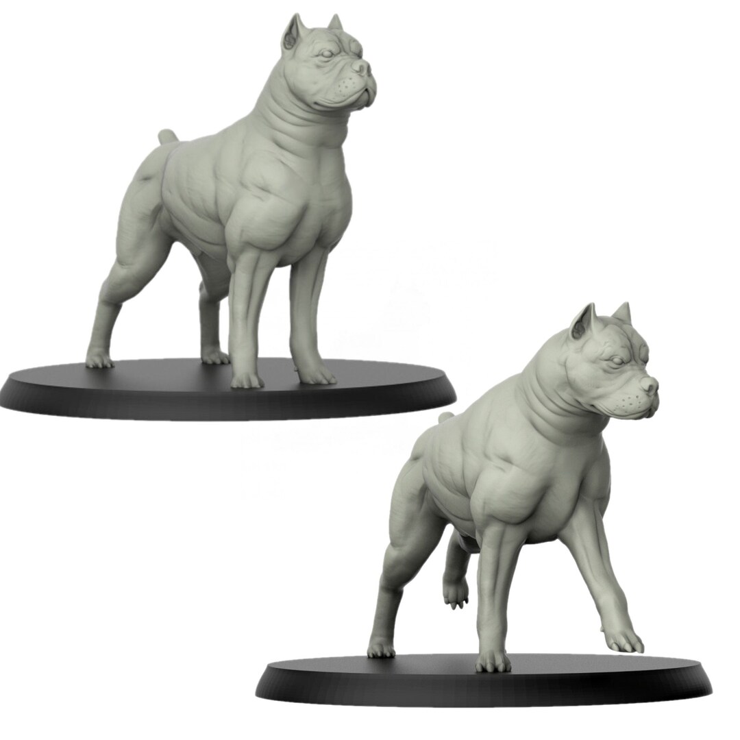 Pit Bull Bundle D&D Dnd Dungeons and Dragons Wargaming 3D Printed Model ...