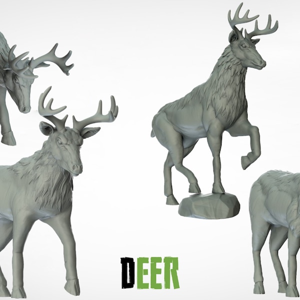 Whitetail Deer Hide - Etsy