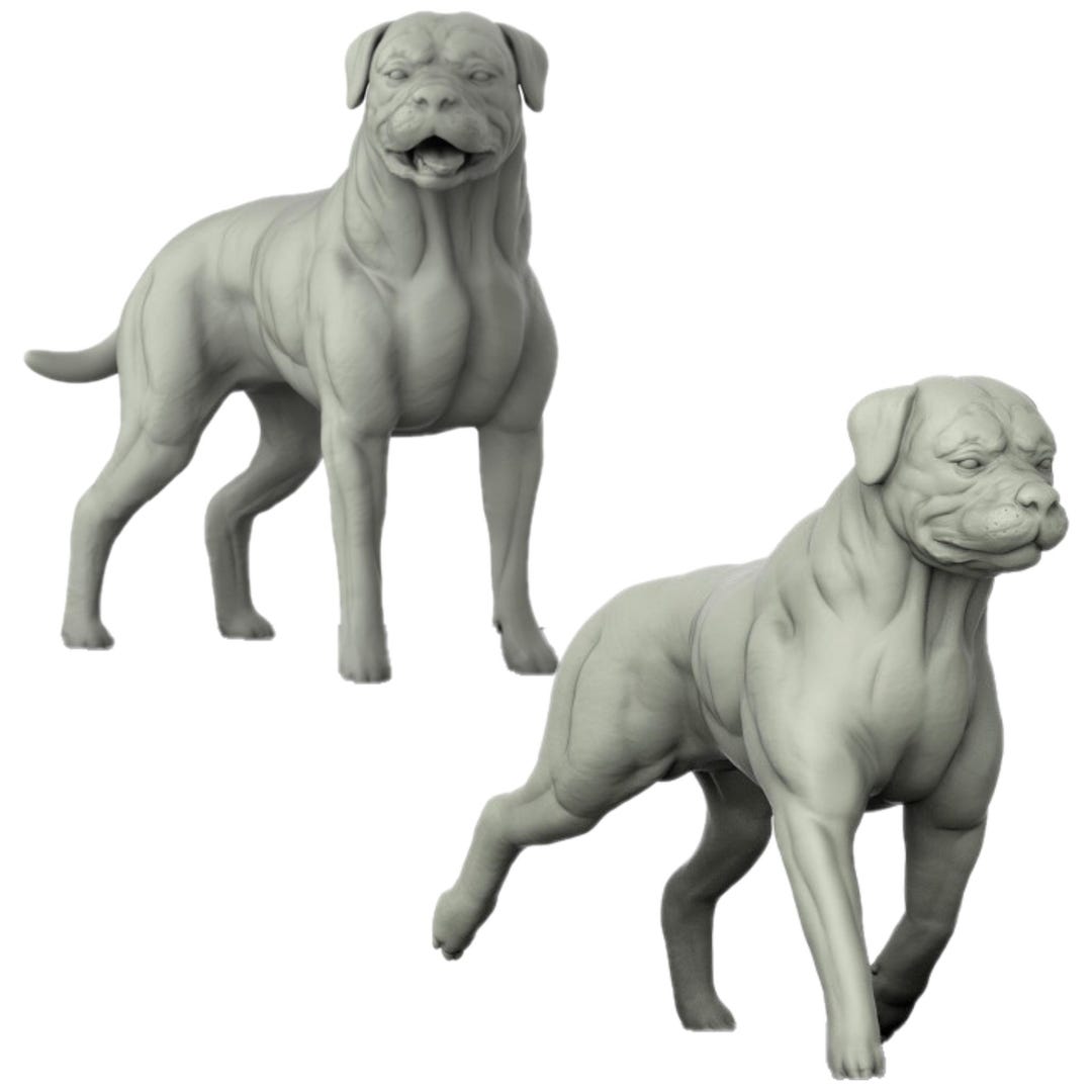Rottweiler Bundle | D&D | Dnd | Dungeons and Dragons | Wargaming | 3D ...