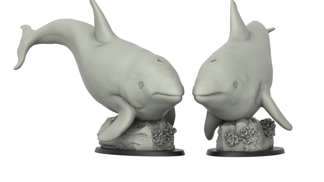 Killer Whale D&D Dnd Dungeons and Dragons Wargaming 3D Printed Model ...