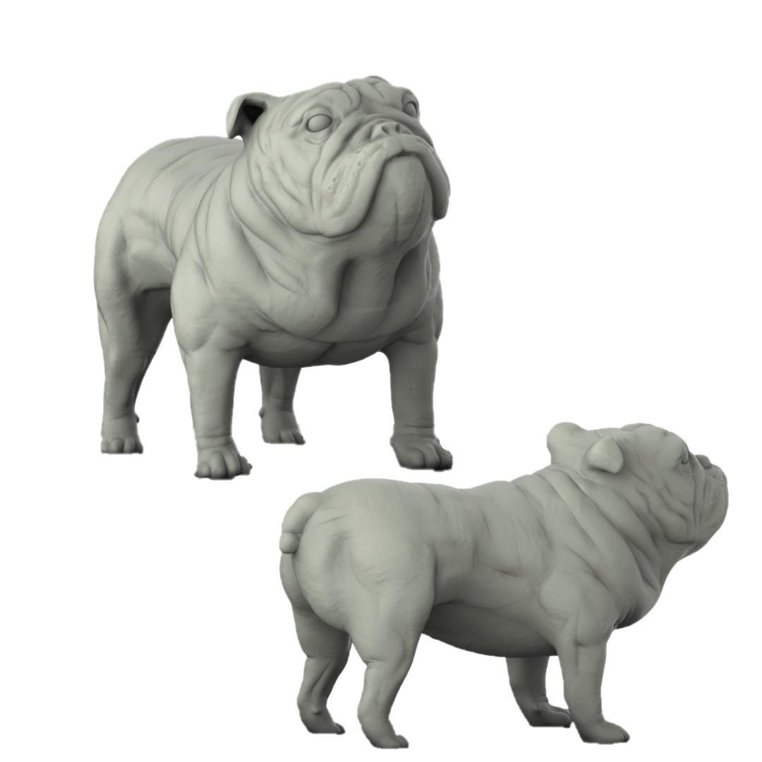 Bulldog | D&D | Dnd | Dungeons and Dragons | Wargaming | 3D Printed ...