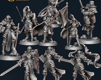 Aasimar Paladin D&D Dnd Dungeons and Dragons Wargaming 3D Printed Model ...