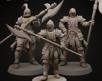 Dwarven Caravan Bundle D&D Dnd Dungeons and Dragons Wargaming 3D ...