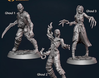 Nefereth the Egyptian Goddess D&D Dnd Dungeons and Dragons Wargaming 3D ...