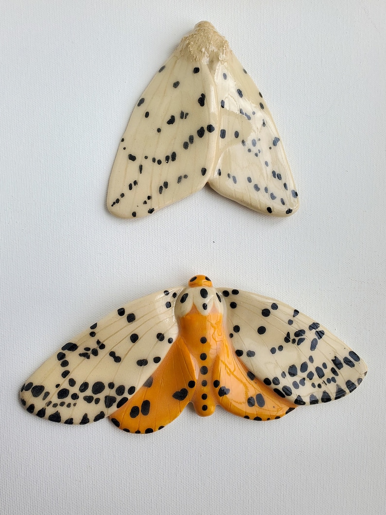 Handmade Ceramic Moth Wall Decor: Botanical Art Hanging Set - Etsy
