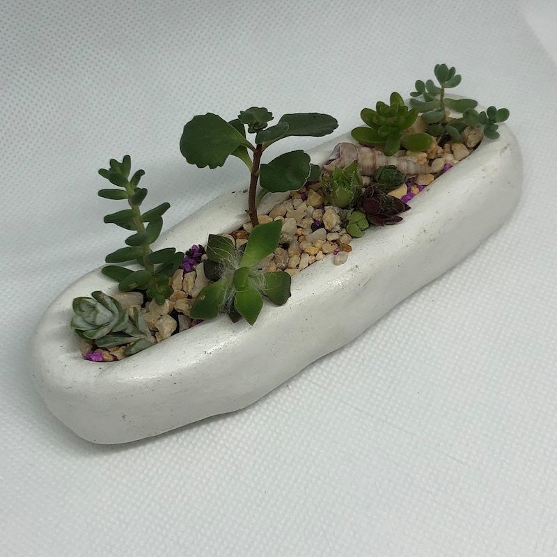 Succulent Trough - Etsy UK