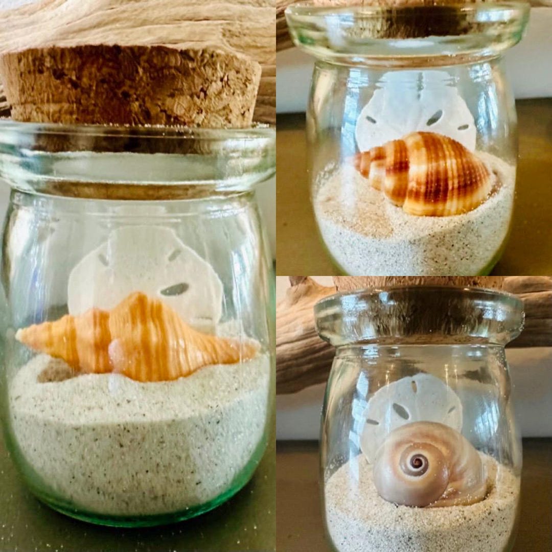 Beach Souvenir Natural Beach Sand and Shells in A Glass Bottle Sanibel ...