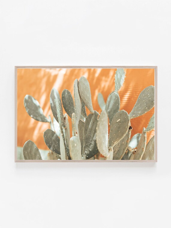 West Texas Planet Marfa Cactus Marfa TX - Etsy