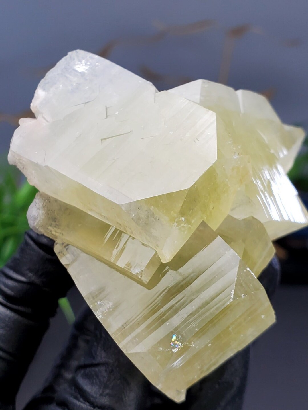 Apophyllite Lemon Green Blocky Apophyllite Crystal 6.35oz - Etsy
