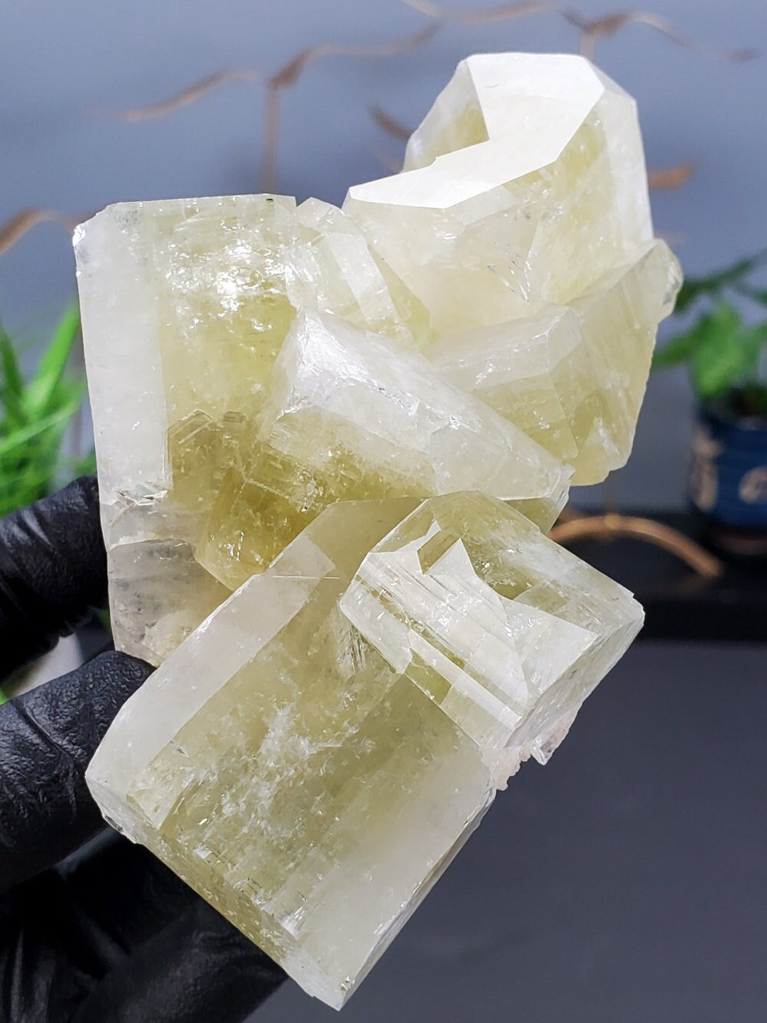 Apophyllite Lemon Green Blocky Apophyllite 10.55oz - Etsy