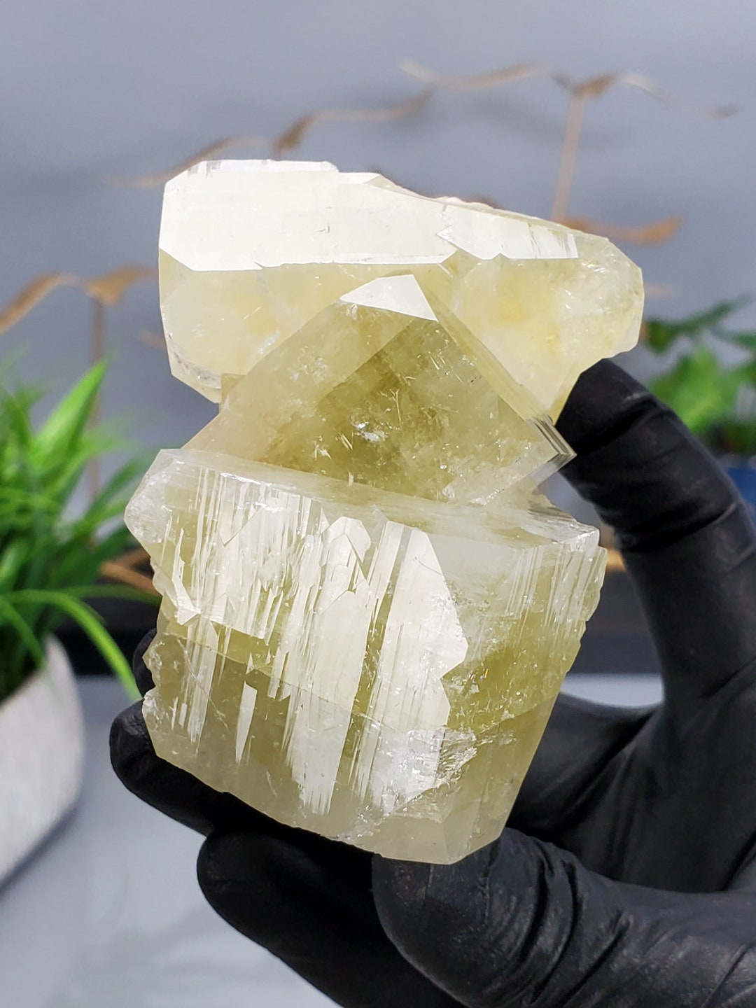 Apophyllite Lemon Green Blocky Apophyllite Crystal 8.82oz - Etsy