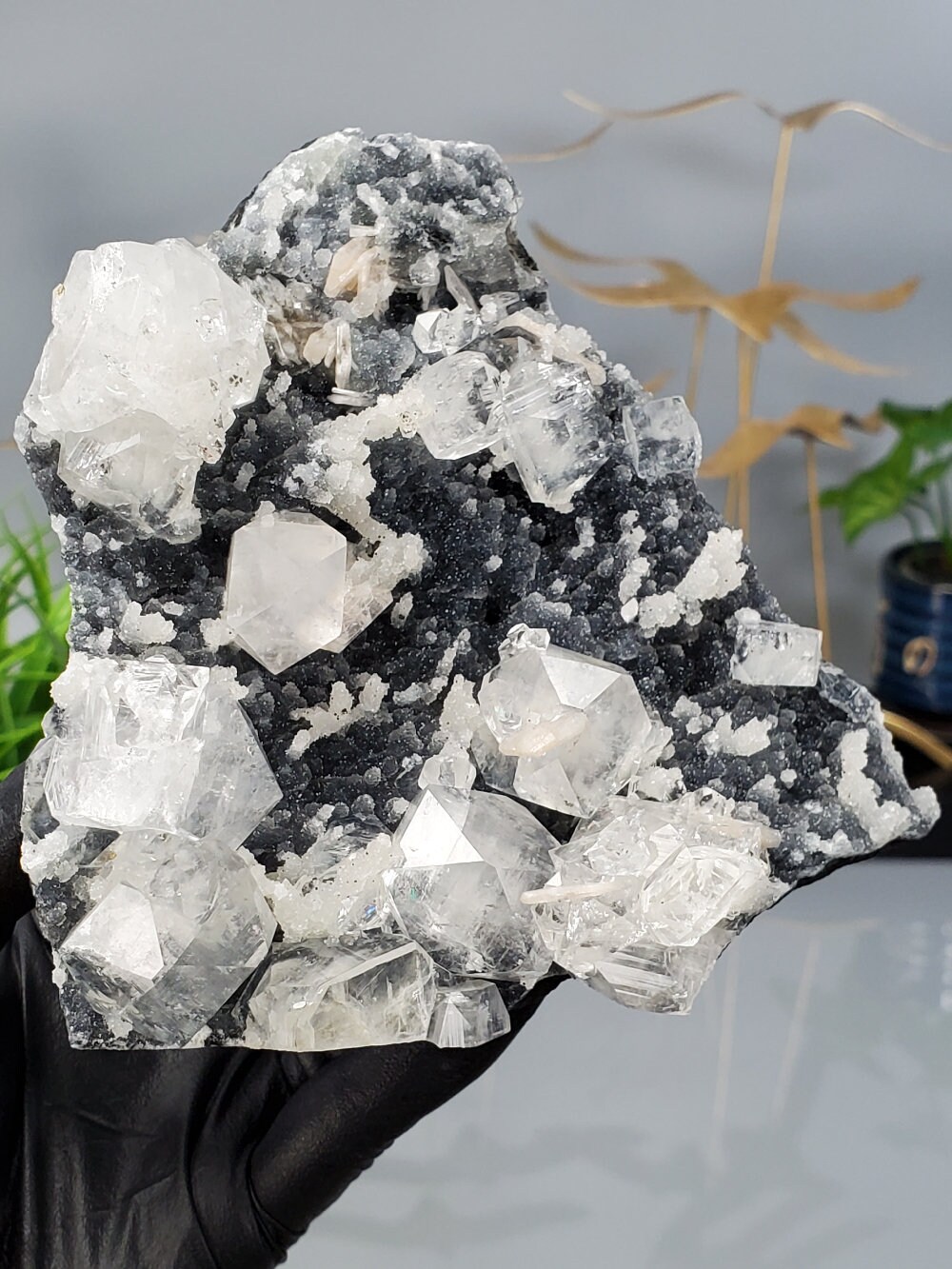 Extra Clear Apophyllite & Stilbite on Black Chalcedony 1.34LBS - Etsy