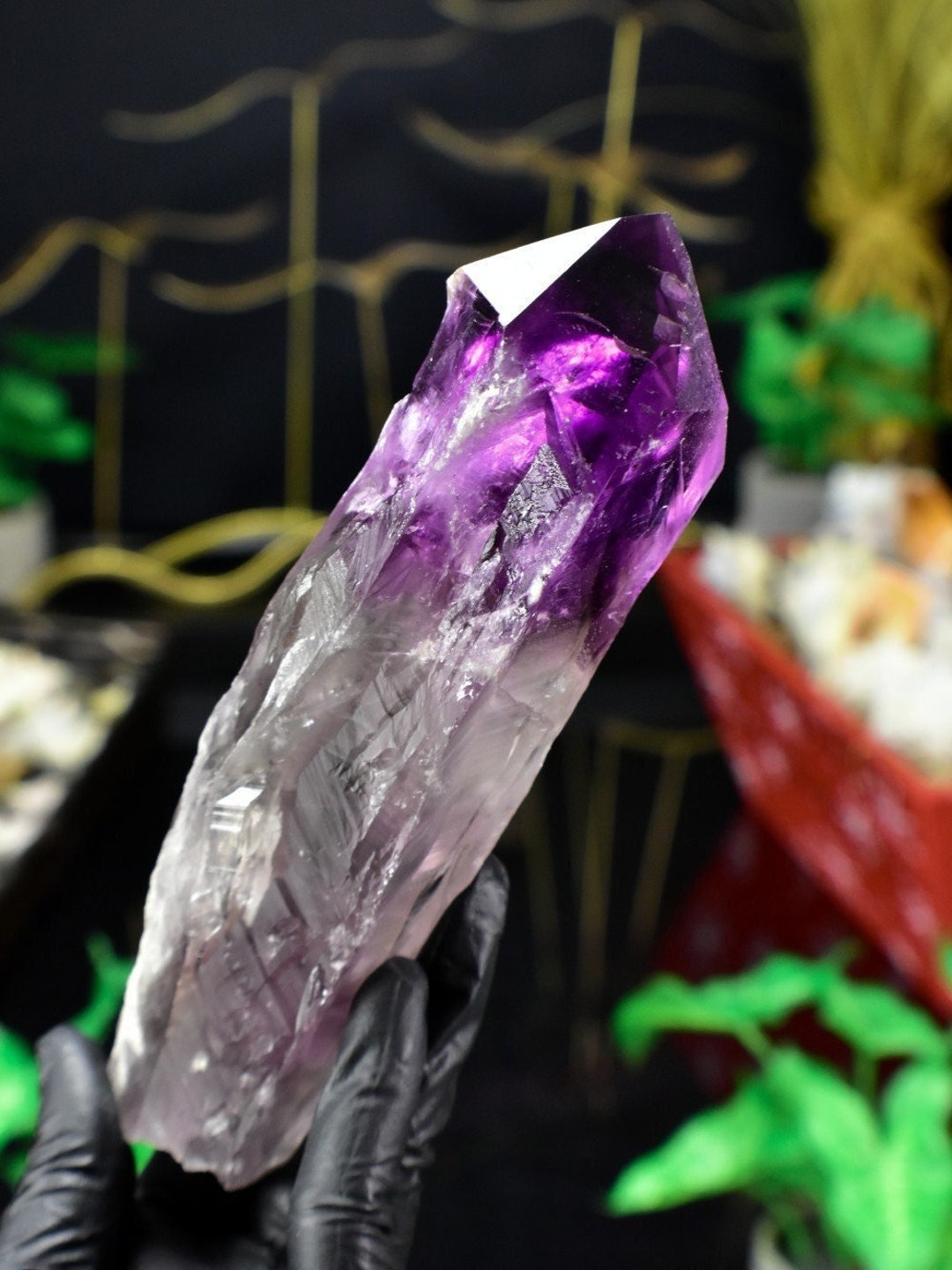 Amethyst Dragon Tooth 7" Stem Root Wand Bahia - Grade A - Etsy