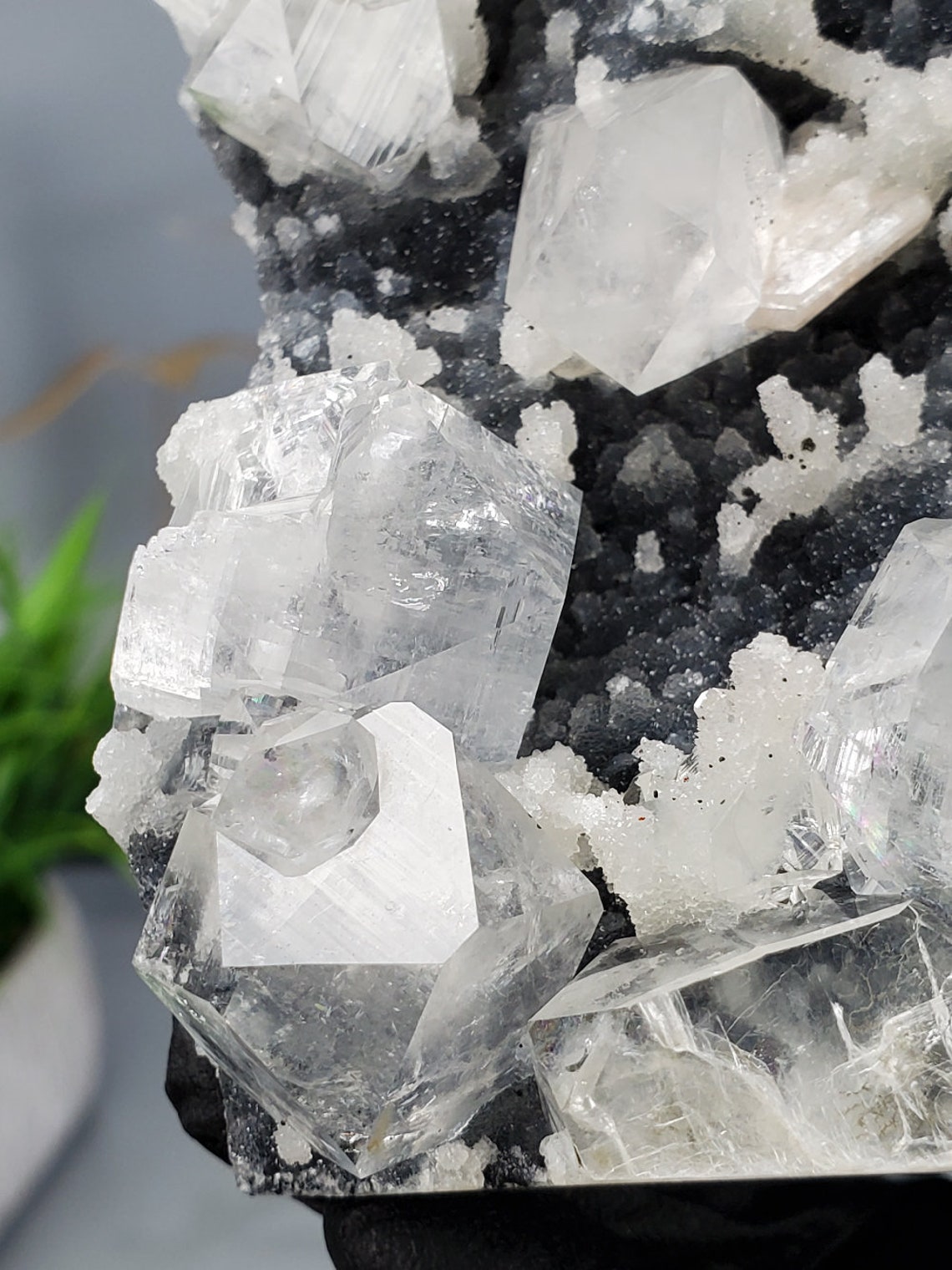 Extra Clear Apophyllite & Stilbite on Black Chalcedony 1.34LBS - Etsy