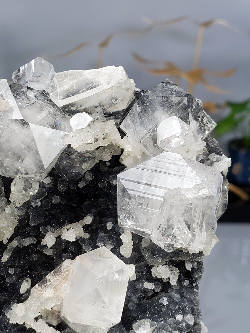 Extra Clear Apophyllite & Stilbite on Black Chalcedony 1.34LBS - Etsy