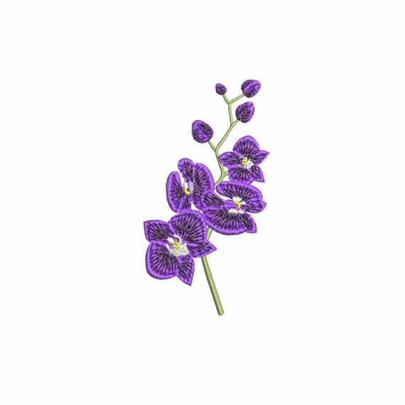 Orchid Flowers Machine Embroidery Design / Botanical Flower / - Etsy