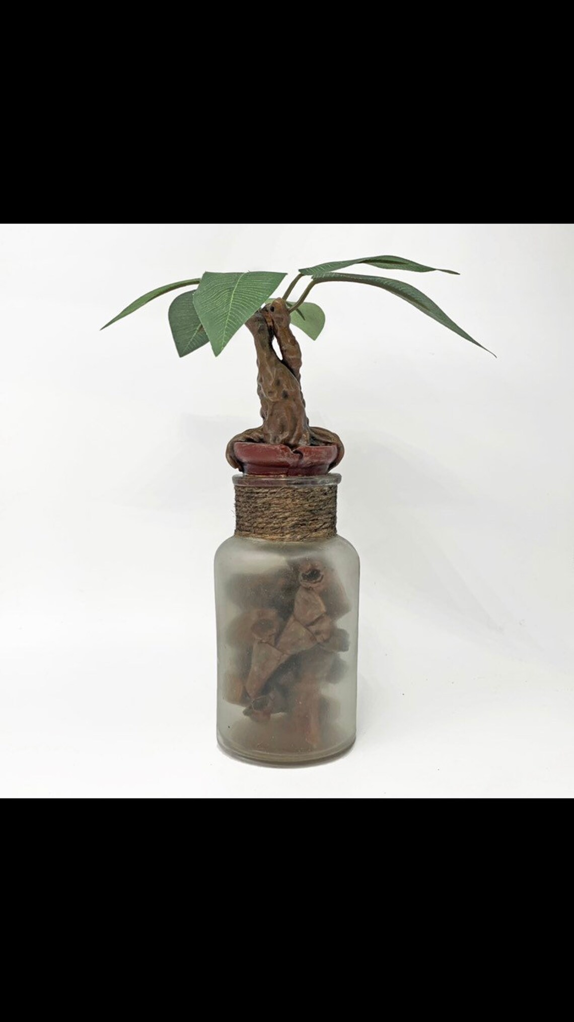 Mandrake Root Herbology Magic Potion Glass Bottle Inspired - Etsy UK