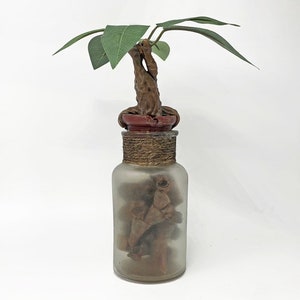 Mandrake Root Herbology Magic Potion Glass Bottle Inspired - Etsy UK