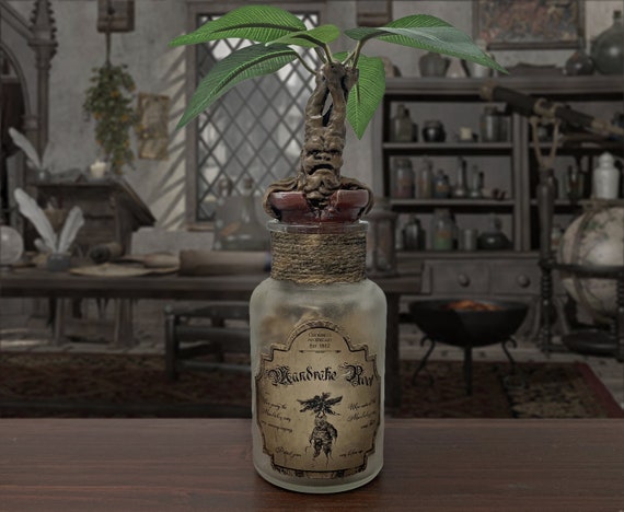 Mandrake Root Herbology Magic Potion Glass Bottle Inspired | Etsy