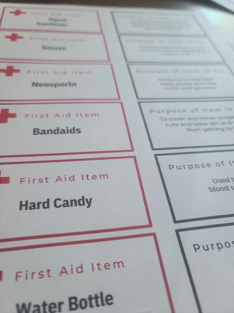 2nd and 3rd Grade First Aid and Safety Activity Workbook---homeschool ...