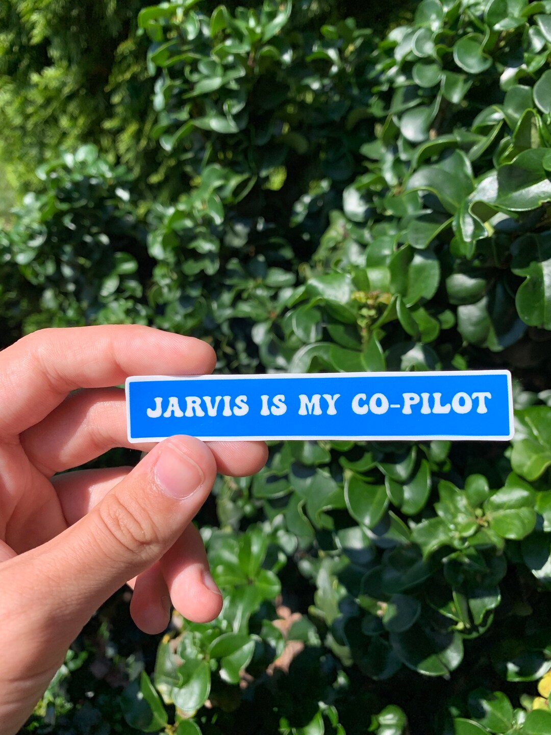Jarvis is My Co-pilot Sticker - Etsy