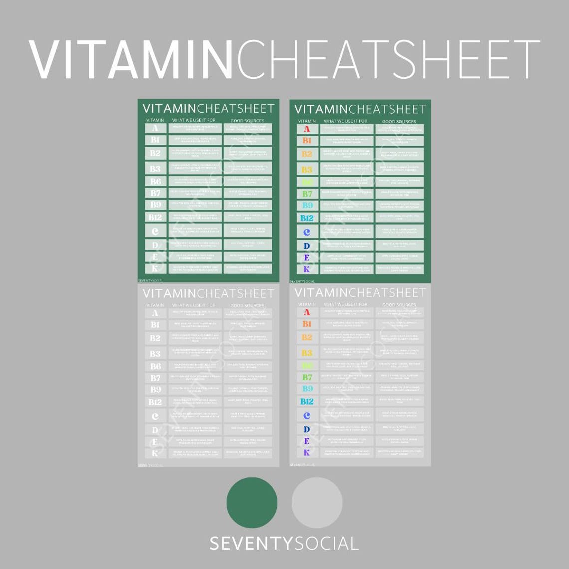 Vitamin & Mineral Cheat Sheet Nutrition Wellness Digital Guide Chart ...