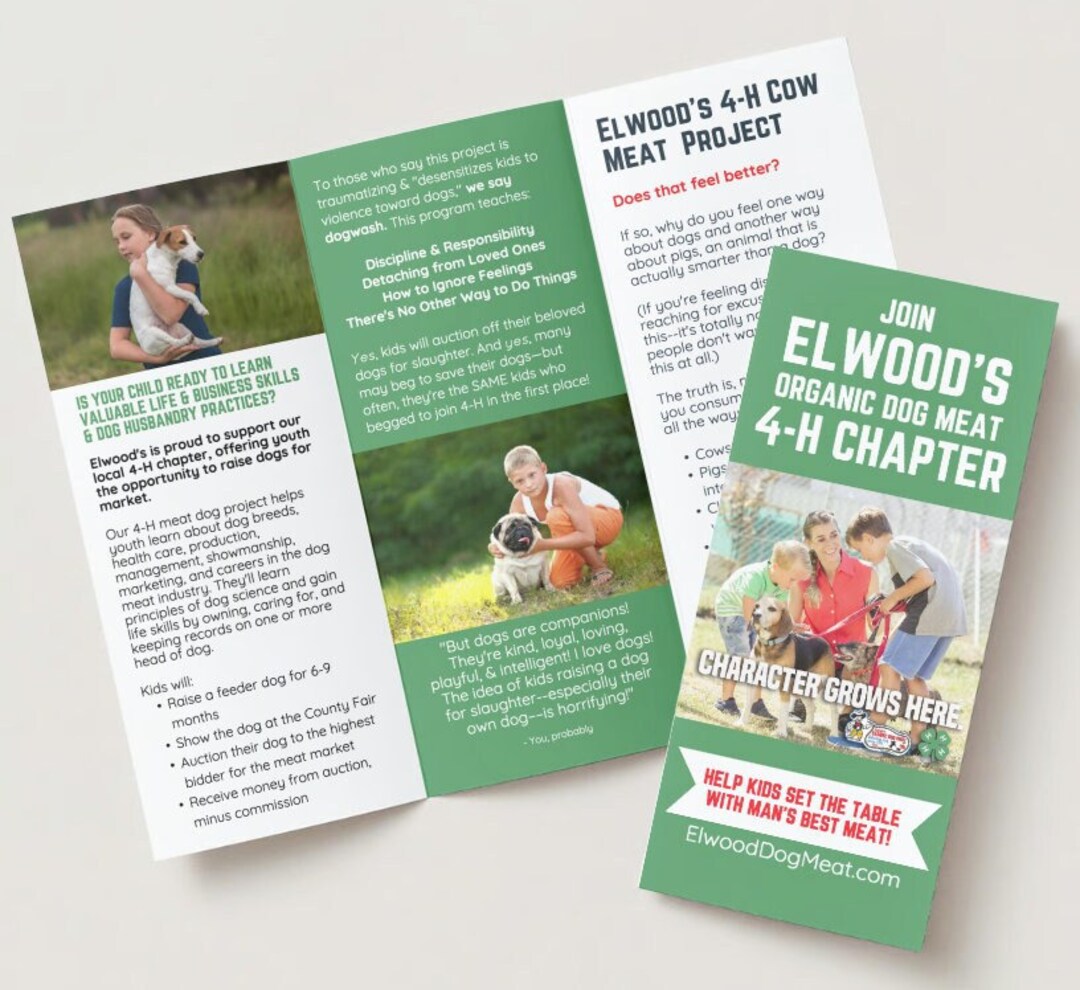 Bulk Elwood 4H Brochures - Etsy