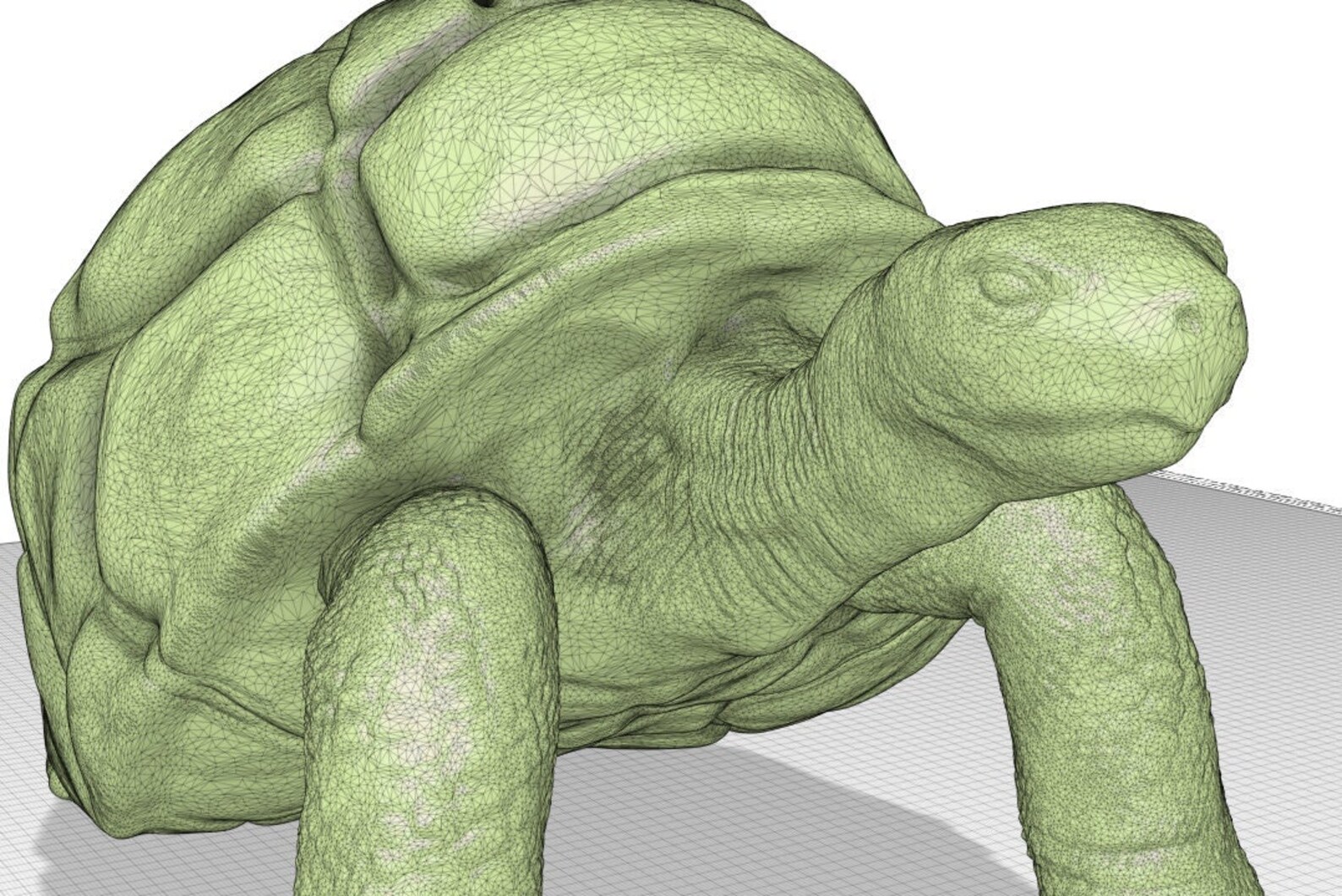 3D STL File Model Turtle Diorama for 3D Printer - Etsy