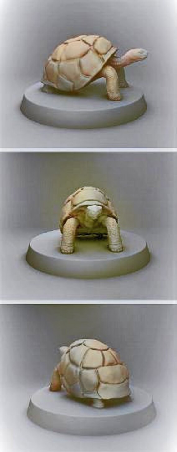 3D STL File Model Turtle Diorama for 3D Printer - Etsy