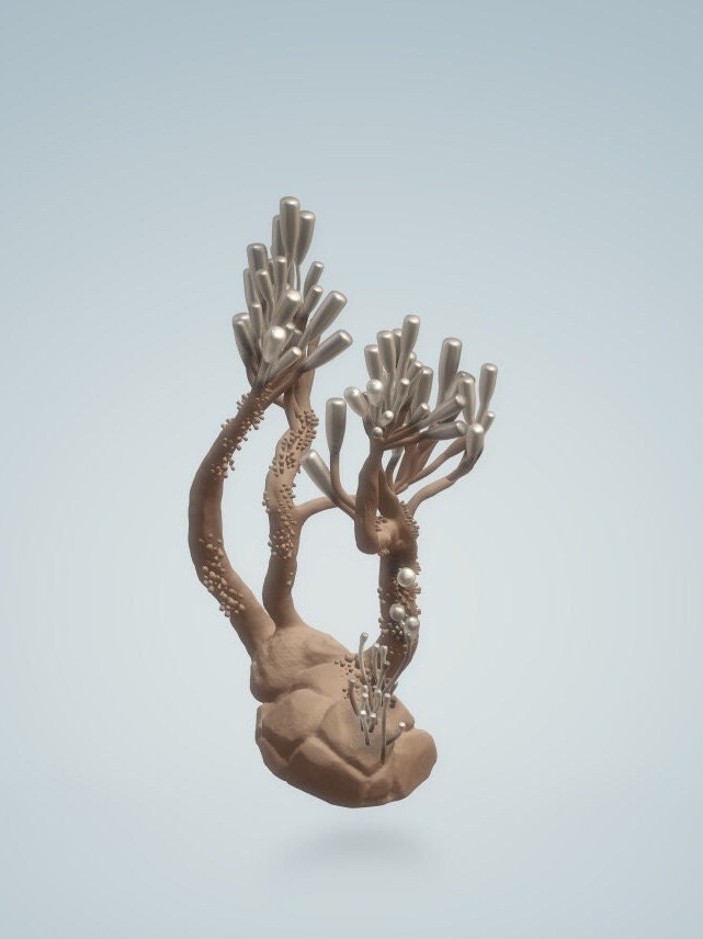 3D STL Files Models Plants World Exoplanets 3 for 3D Printing - Etsy