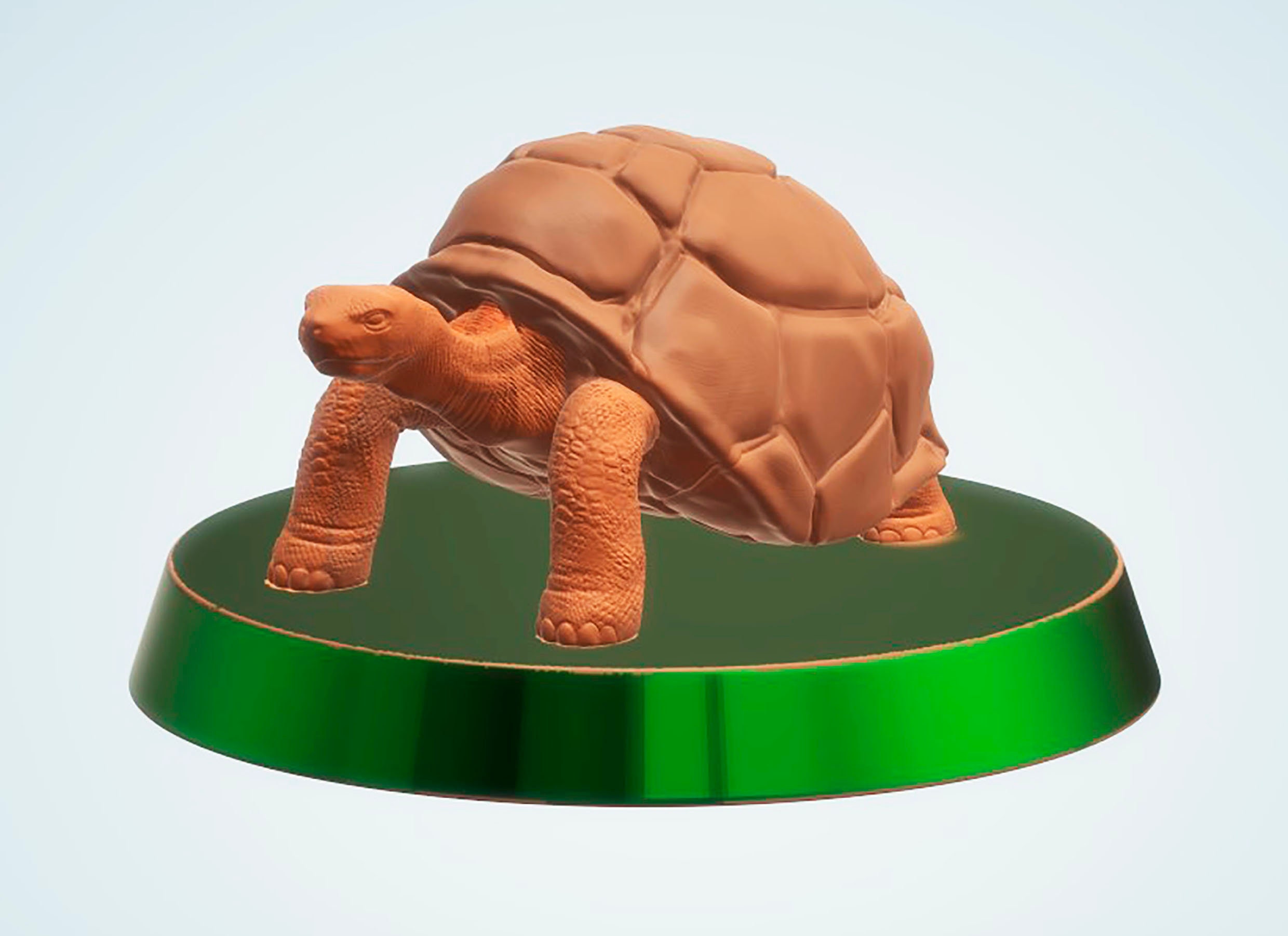 3D STL File Model Turtle Diorama for 3D Printer - Etsy