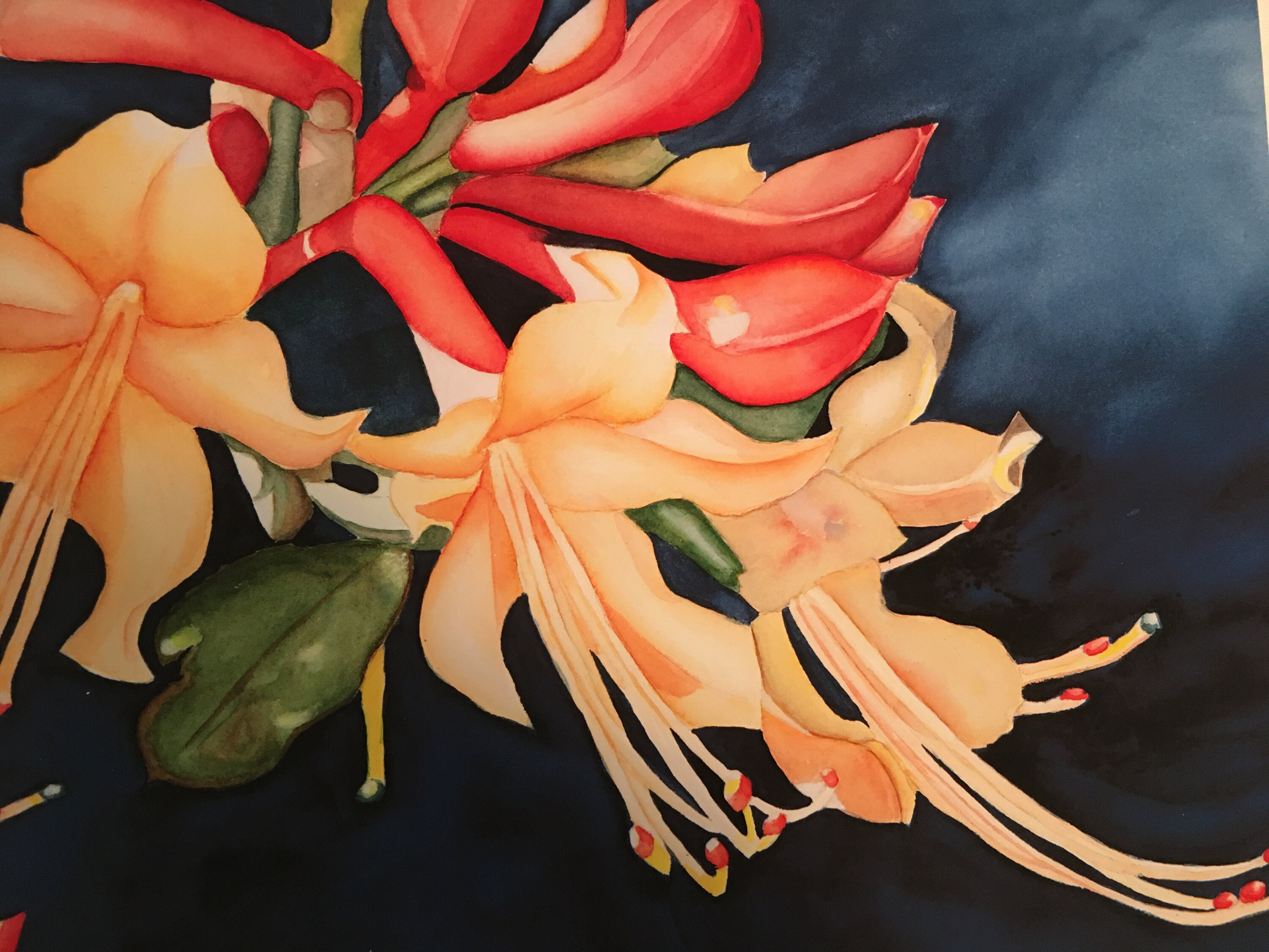 Yellow Azalea Watercolor Painting Print. 8x10 Inches. - Etsy