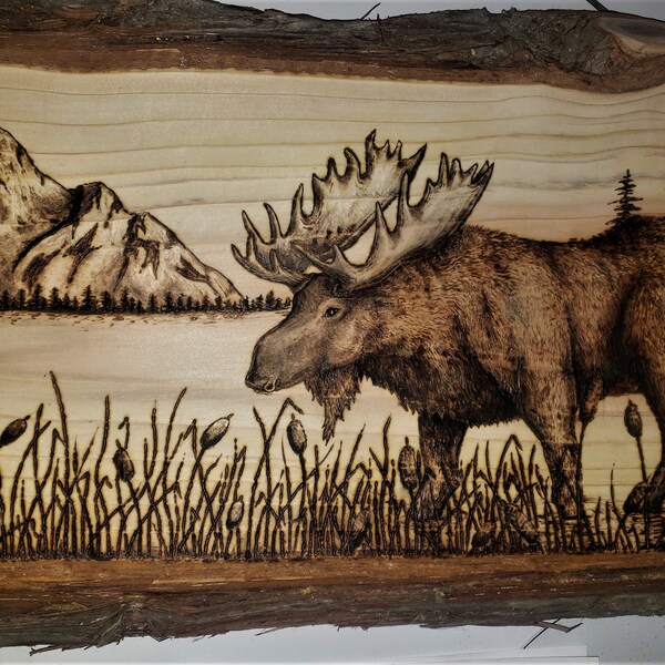 Live Edge Wood - Etsy