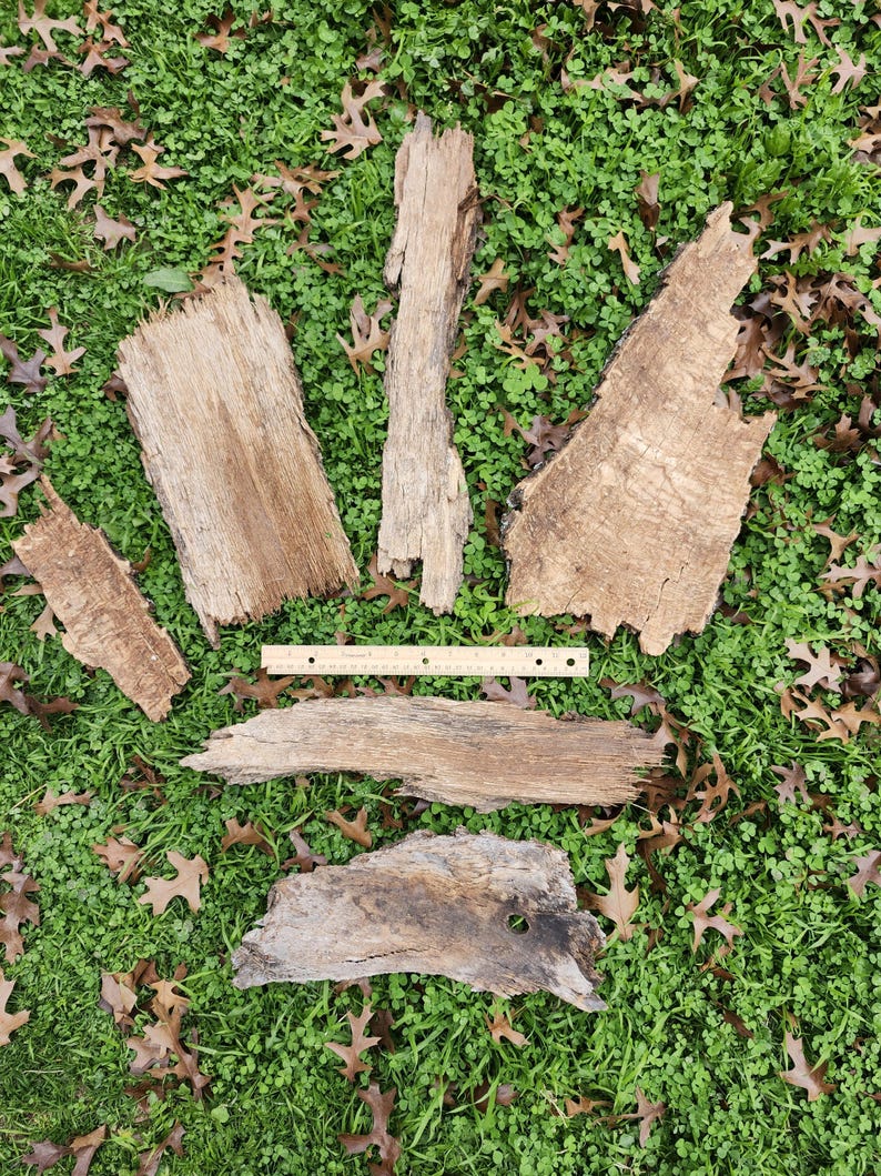 6 Pieces of Dried Real Hardwood Tree Bark for Terrariums Fairy Garden ...