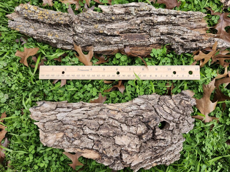 6 Pieces of Dried Real Hardwood Tree Bark for Terrariums Fairy Garden ...