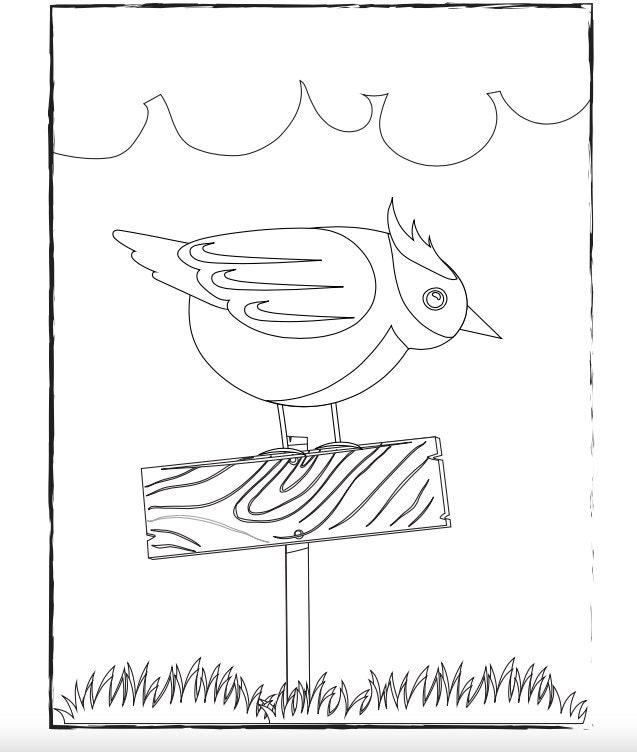 50 Cool Birds Coloring Pages Fore Kids Ages 5-10 Y/o - Etsy