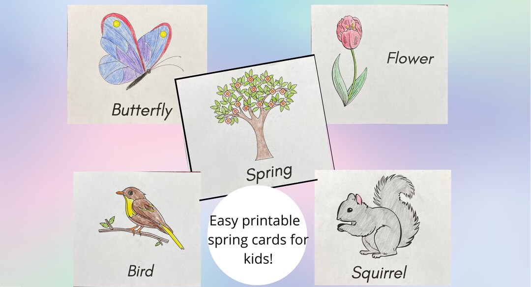 12 Spring Vocabulary Cards for Kids (2-6 Y/o) - Etsy