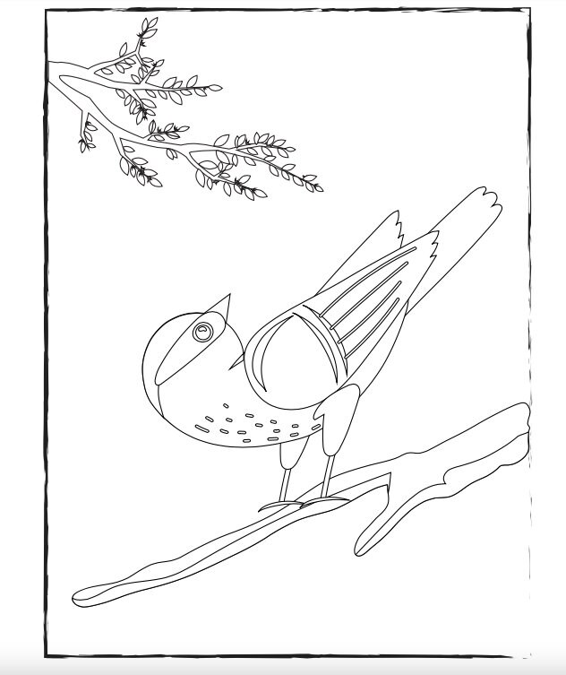 50 Cool Birds Coloring Pages Fore Kids Ages 5-10 Y/o - Etsy